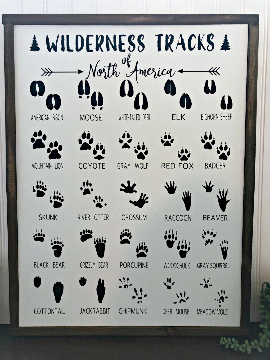Animal Footprints Sign Animal Tracks Sign Safari Nursery | Etsy