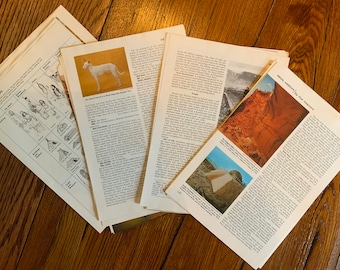 Encyclopedia Paper | Etsy