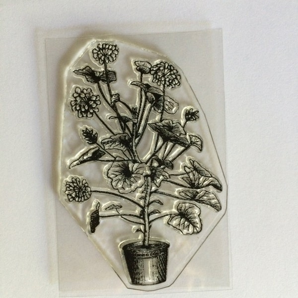 Geranium Flower - Etsy