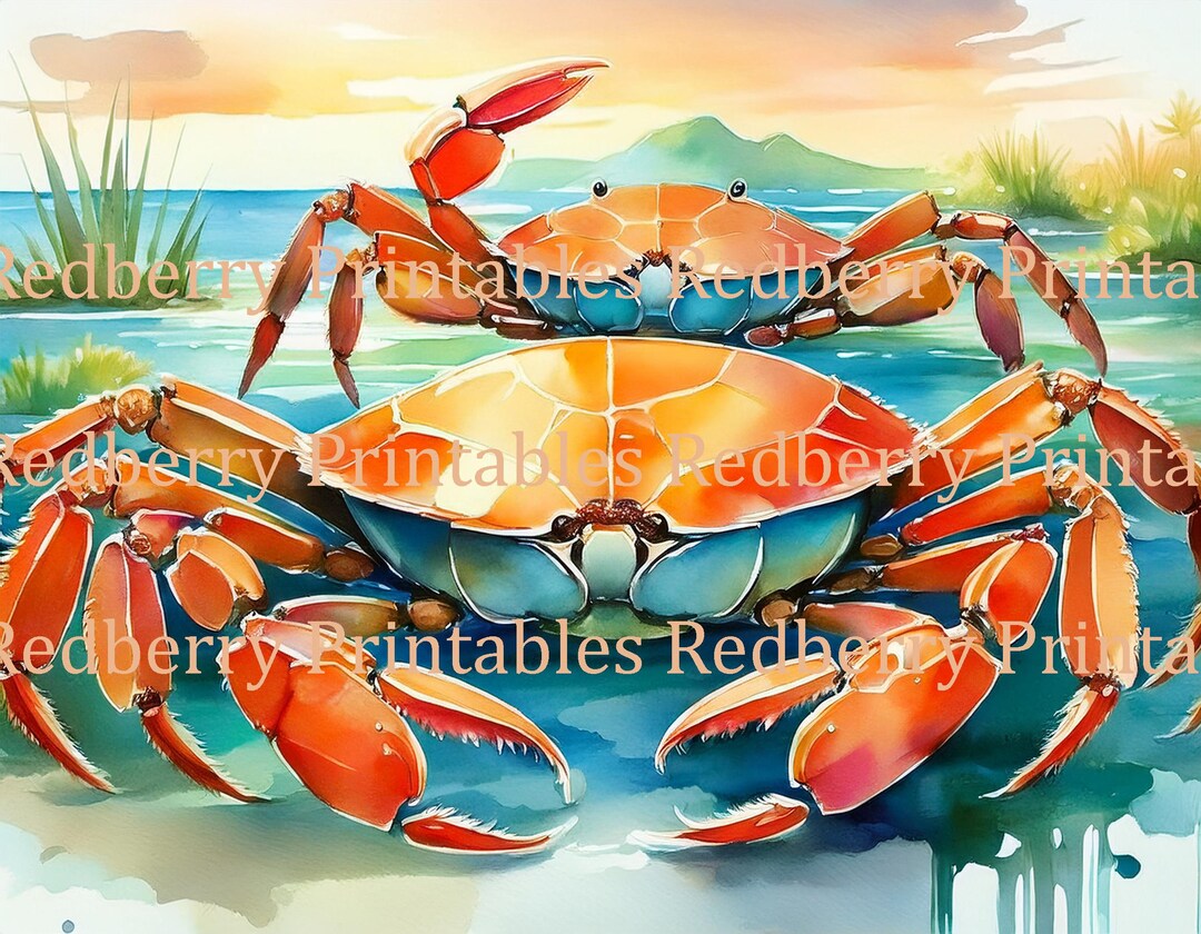 Stylized Clipart of Crabs for Greeting Cards, Scrapbooking, Collage ...