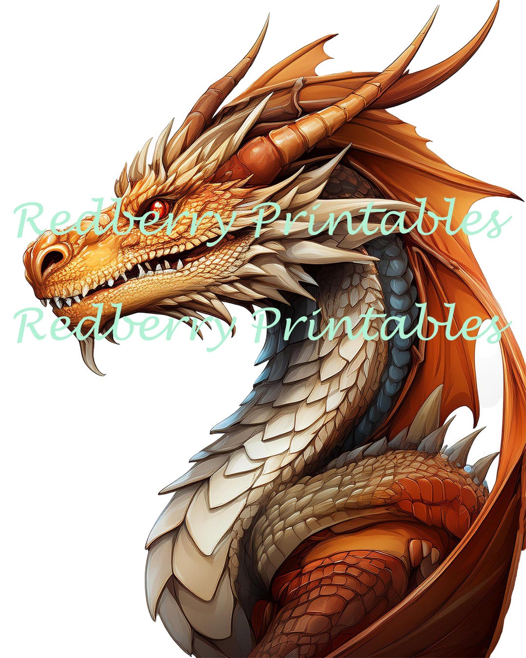 16 Transparent Background Clipart and Wall Art Pictures of Single ...