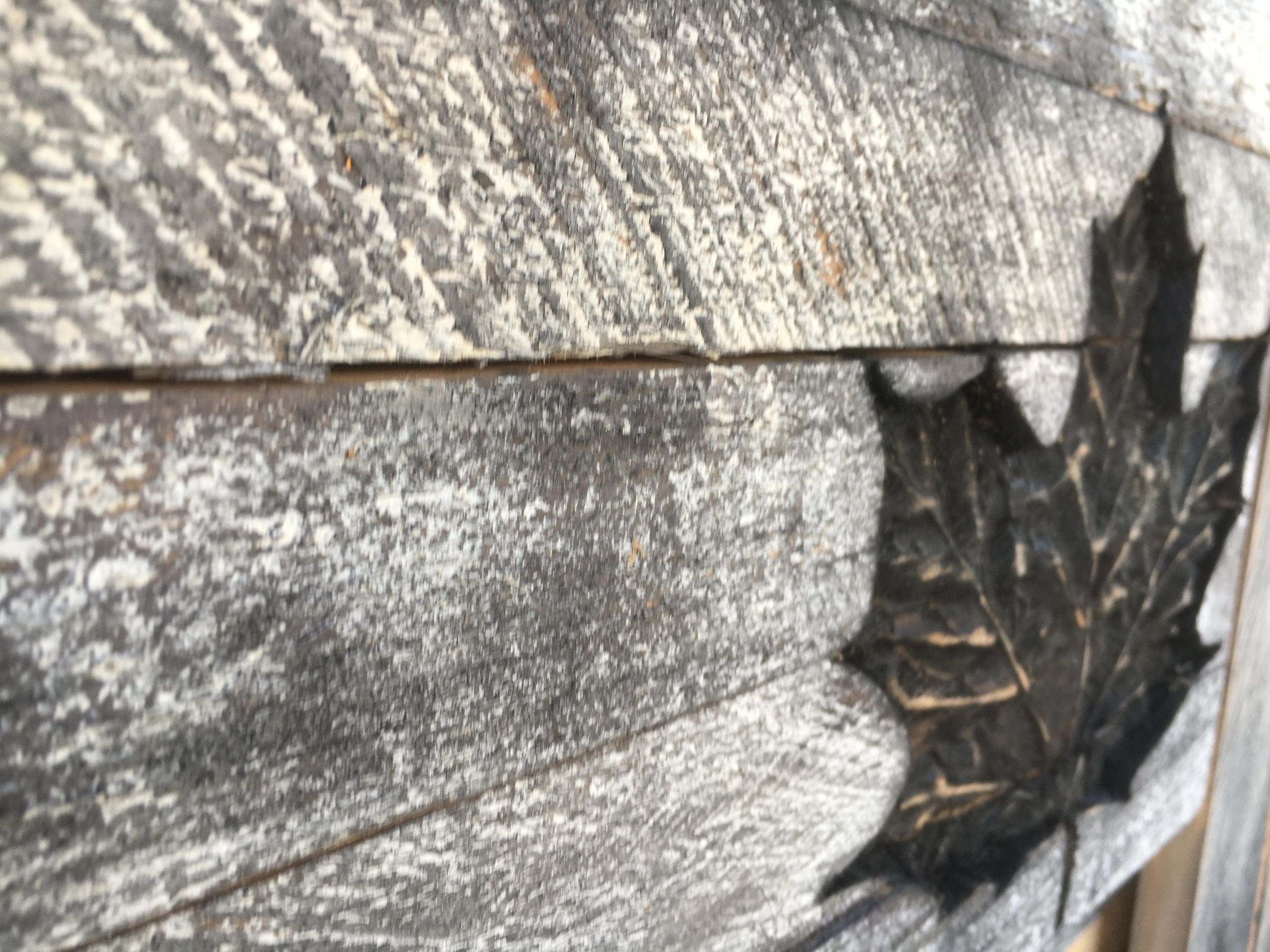 Reclaimed Maple Leaf Carved in Wood - Etsy Canada