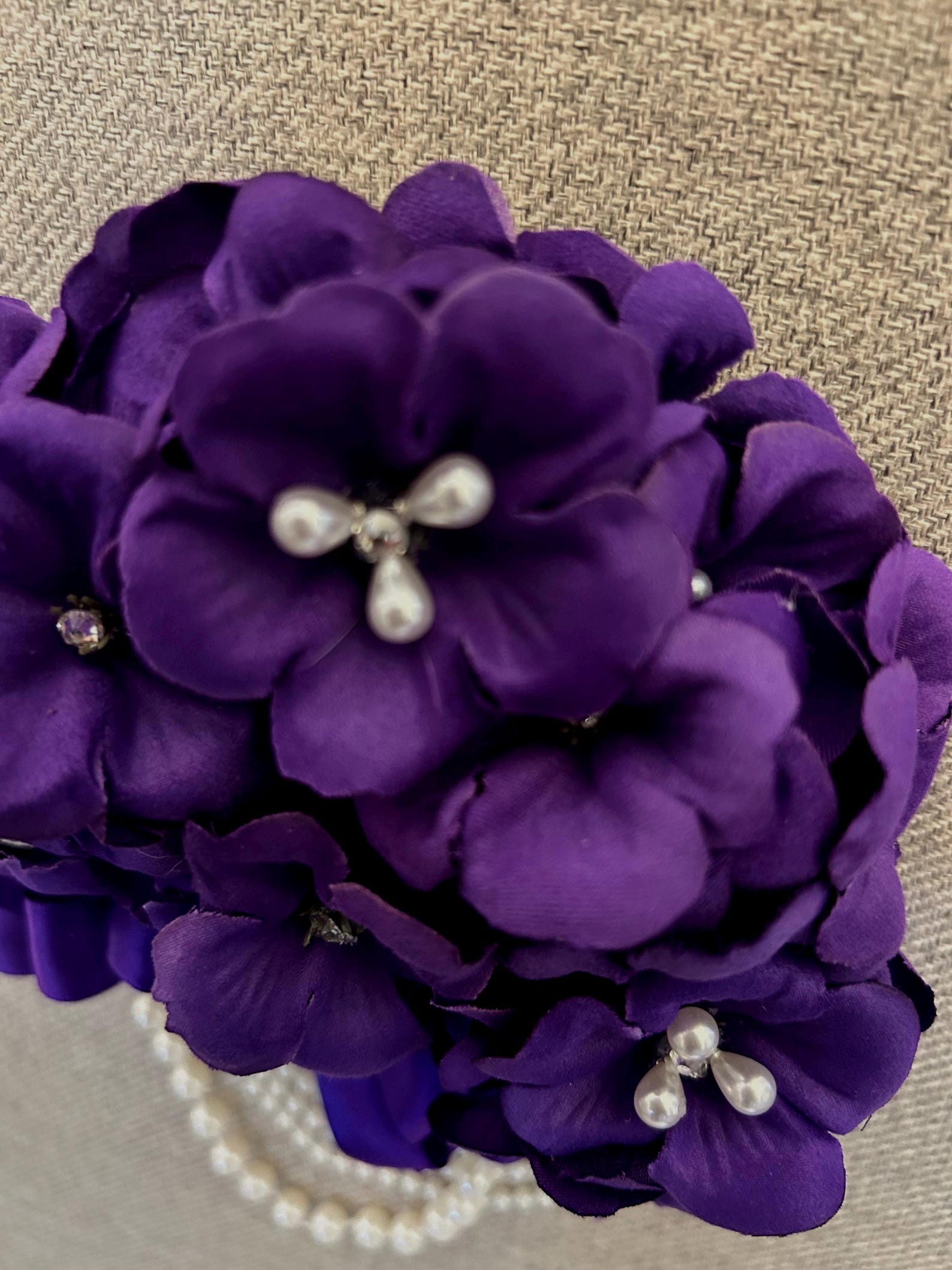 Extra-large African Violet, DST African Violet, African Violet Corsage ...