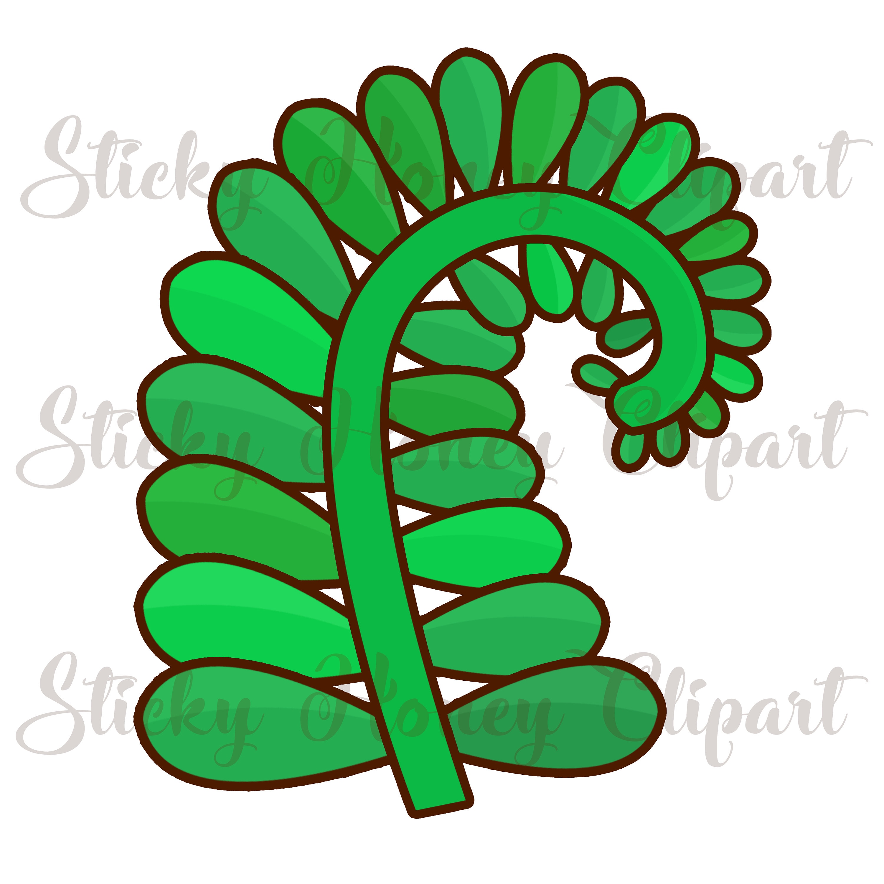 Fiddlehead Fern Clipart