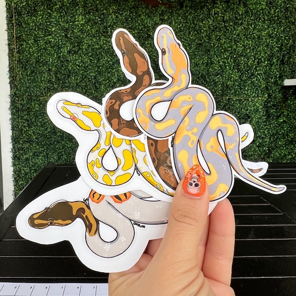 Ball Python - Etsy