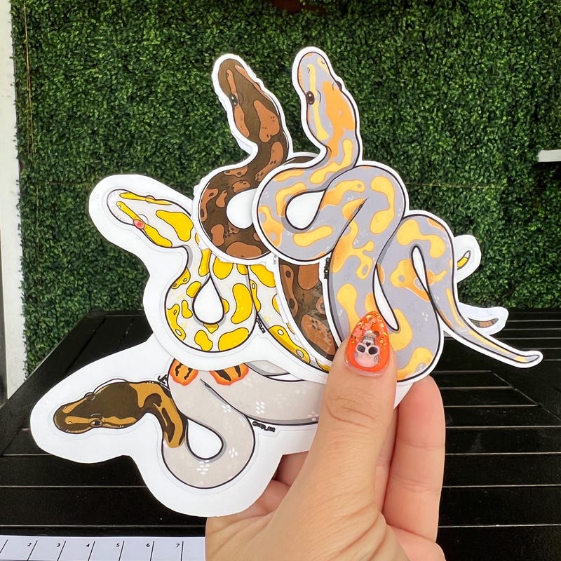 Ball Python - Etsy
