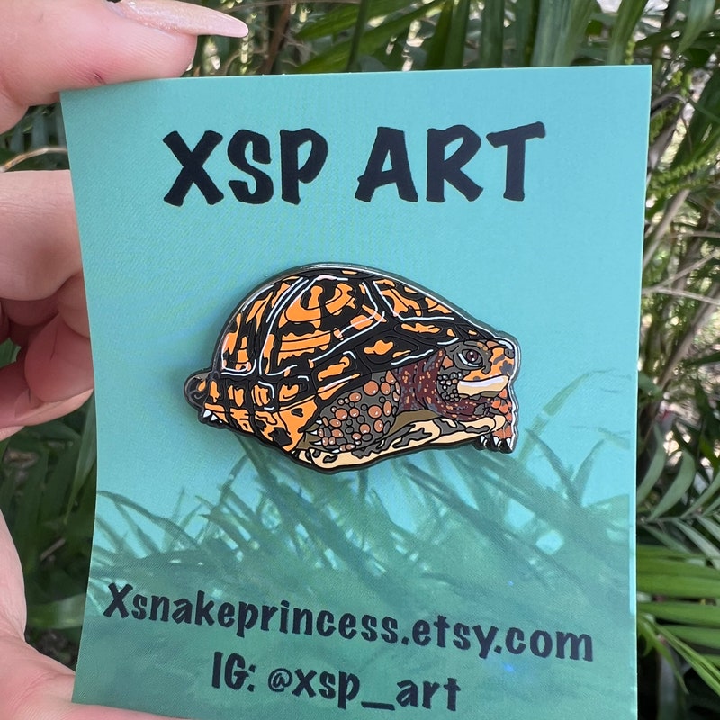 Box Turtle - Etsy