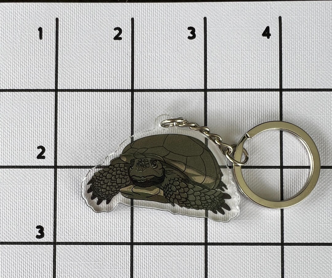 Gopher Tortoise Keychain - Etsy