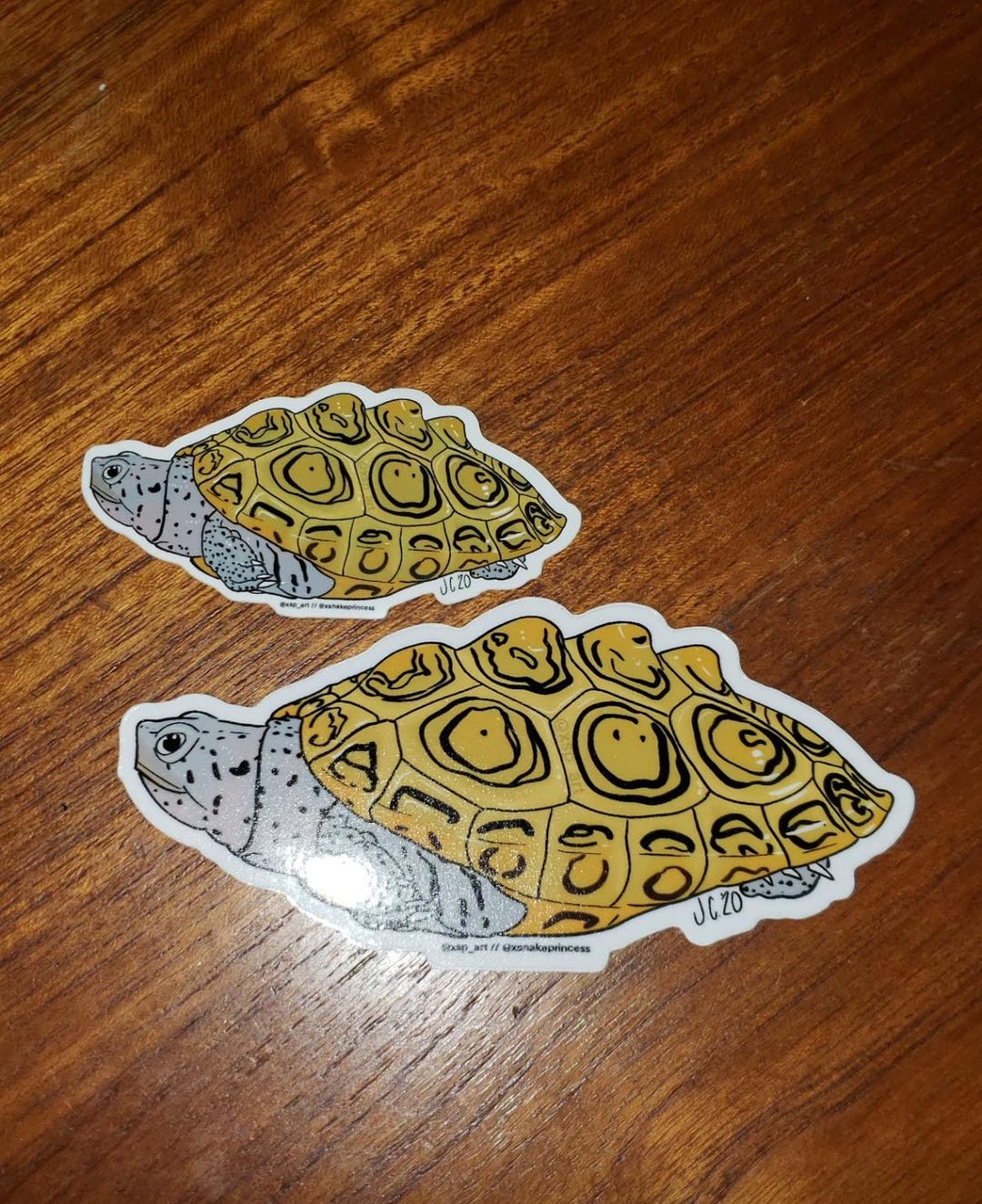 Ornate Terrapin Sticker - Etsy