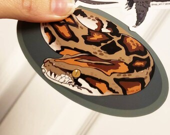 Burmese Python Stickers 6 Morphs Wild, Albino, Granite, Albino Granite ...