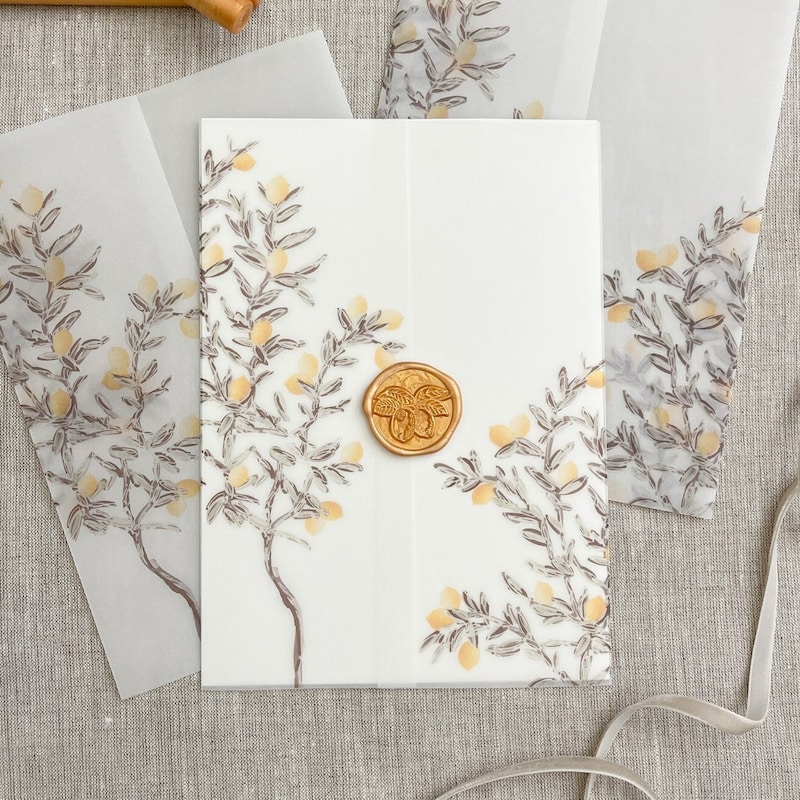 Vellum Invitation - Etsy