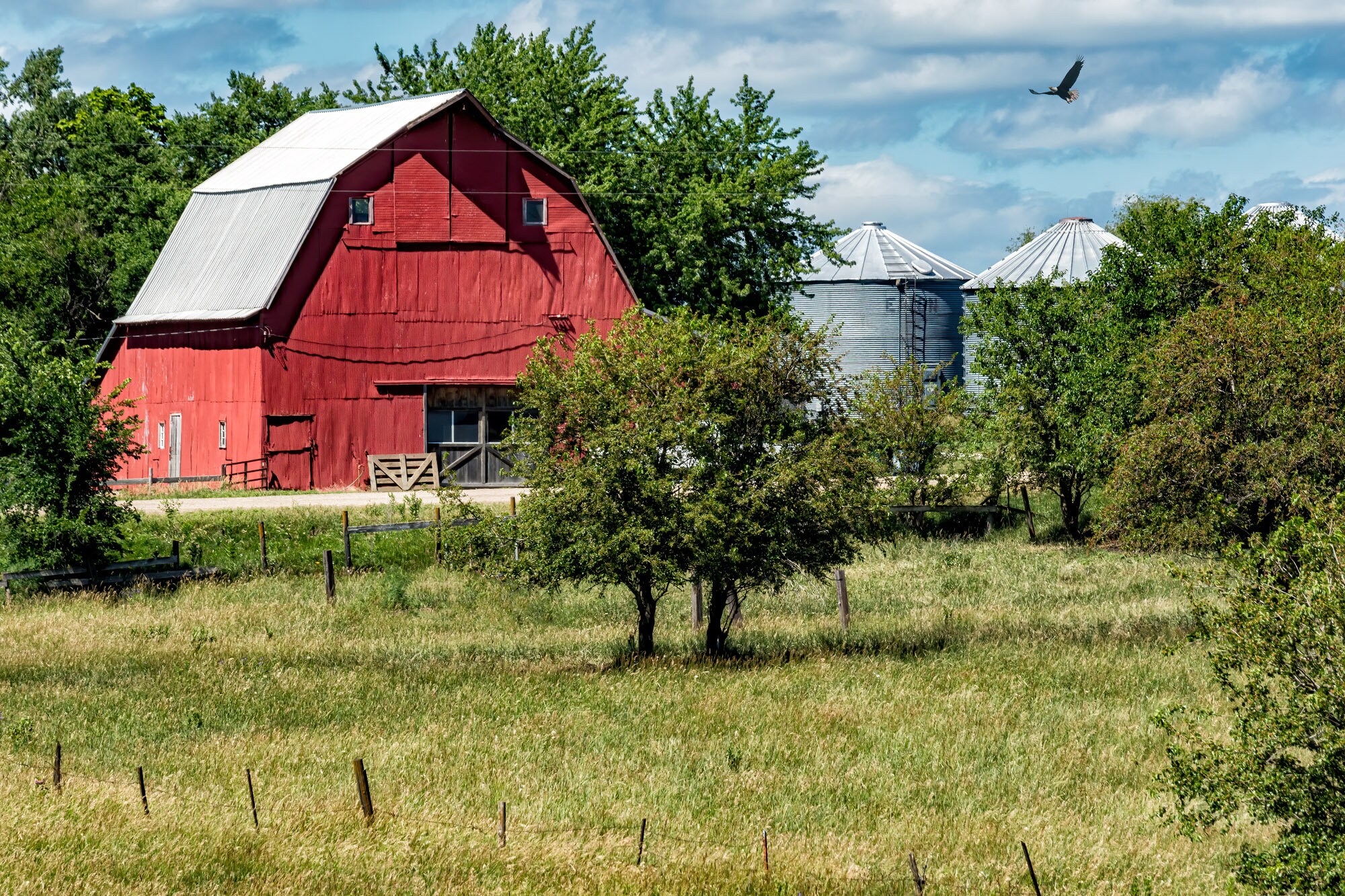 Nebraska Red Barn Eagle in Sky Rural Prairie Nebraska Great | Etsy