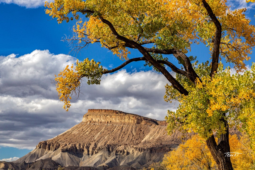 Colorado Fall Color, Mt Garfield , Palisade, Grand Junction, Riverbed ...
