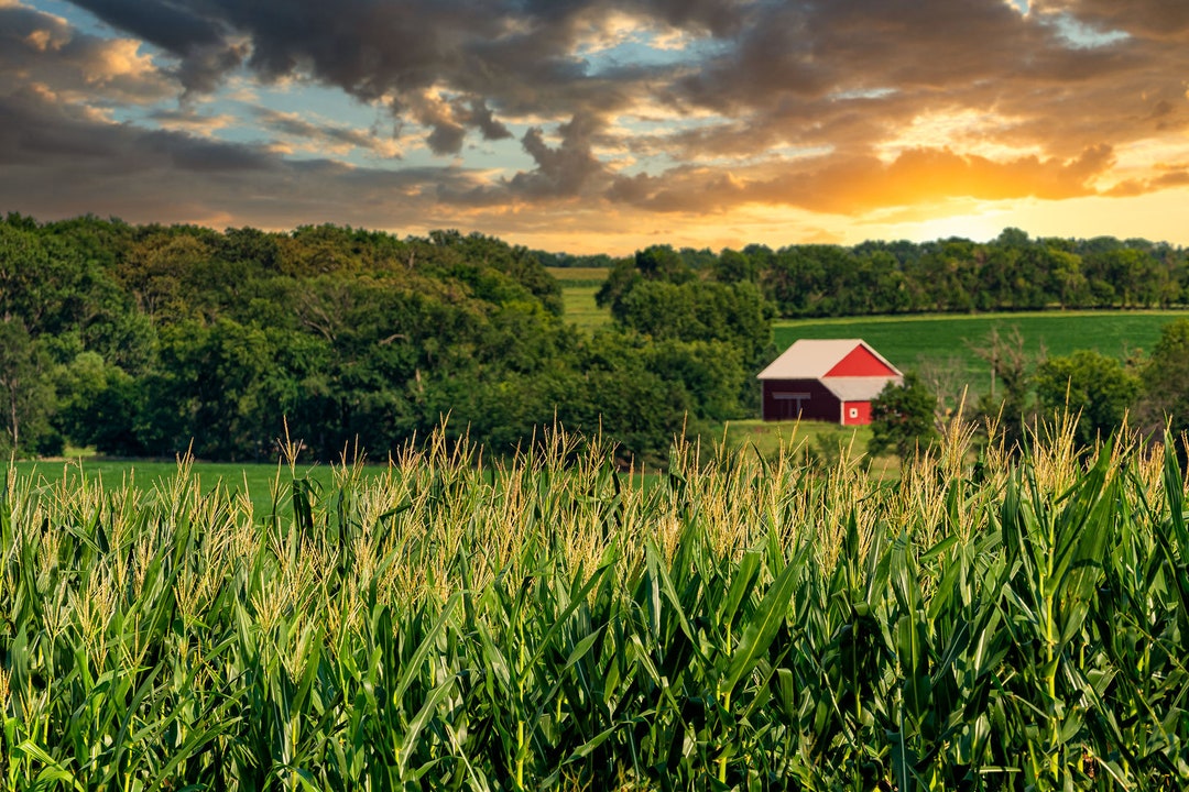 Red Barn Photo, Nebraska Sunset, Nebraska Corn Field, Rural Nebraska ...