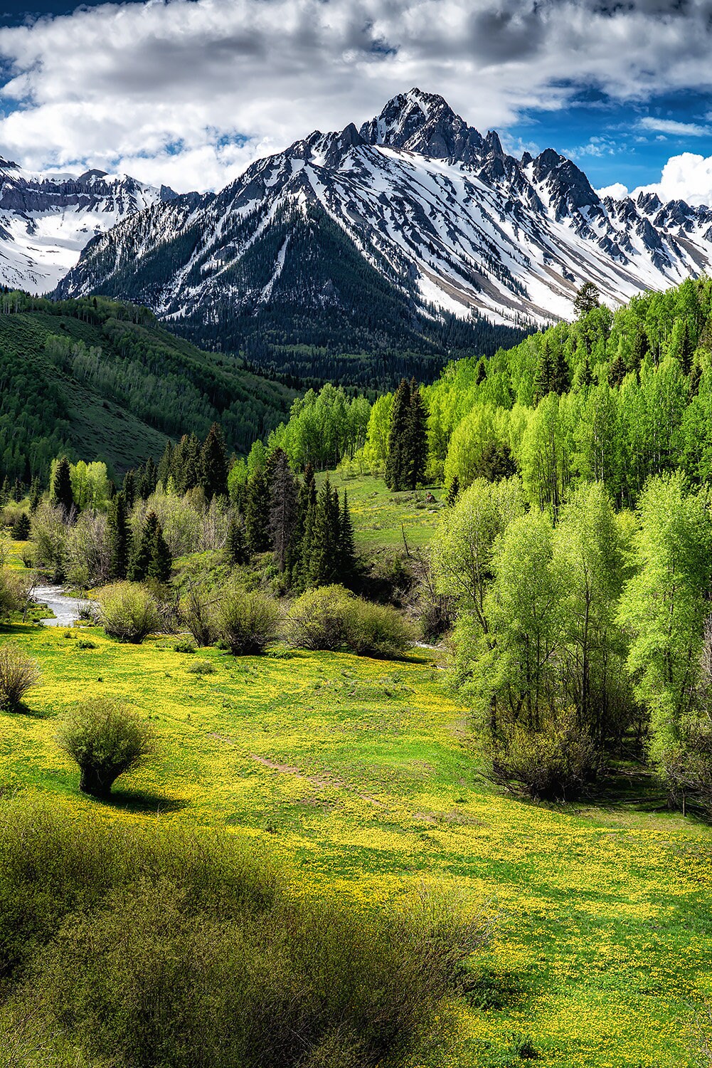Mt Sneffels Colorado Sunset Landscape Ridgway Ouray Abstract Dreamy ...