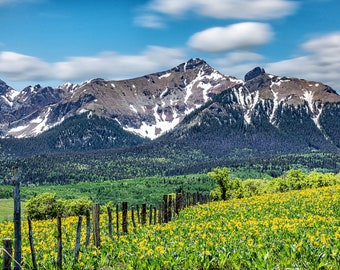 Rio Grande Southern Train Trout Lake Trestle 51A Colorado - Etsy