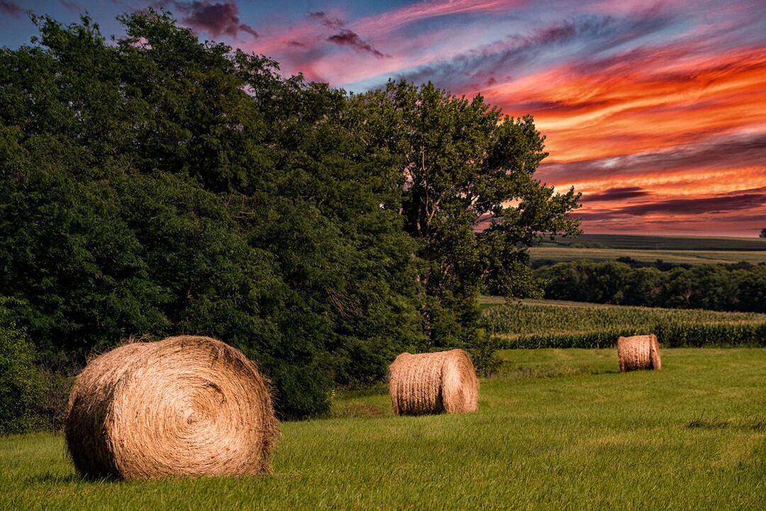 Nebraska Sunset Hay Bales Rural Nebraska Round Bales Great - Etsy