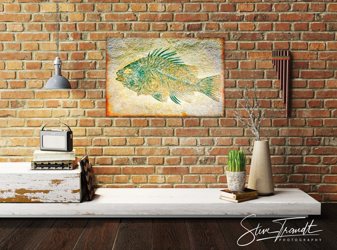 Fossil Fish, Ocean Art, Nautical Decor, Fossils Fishes, Antique Print ...