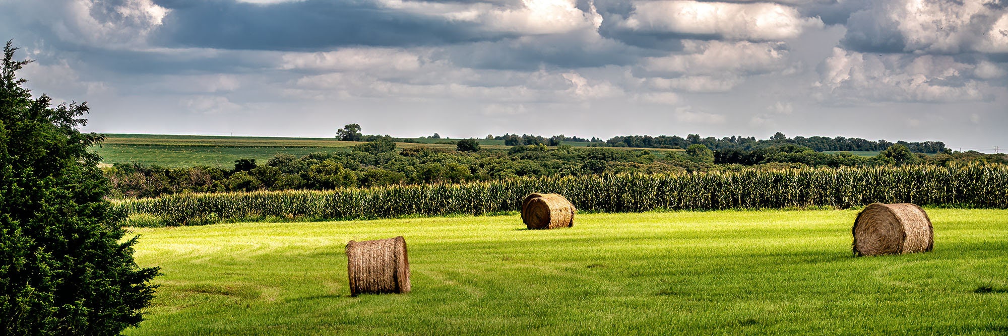 Cornfield Hay Bales Rural Farm Photo Nebraska Corn Large | Etsy