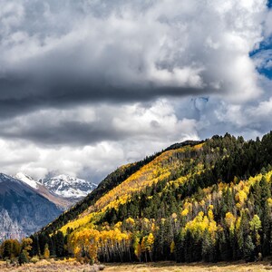 Telluride Colorado, Colorado Fall Color, Telluride Valley, Aspen Trees ...