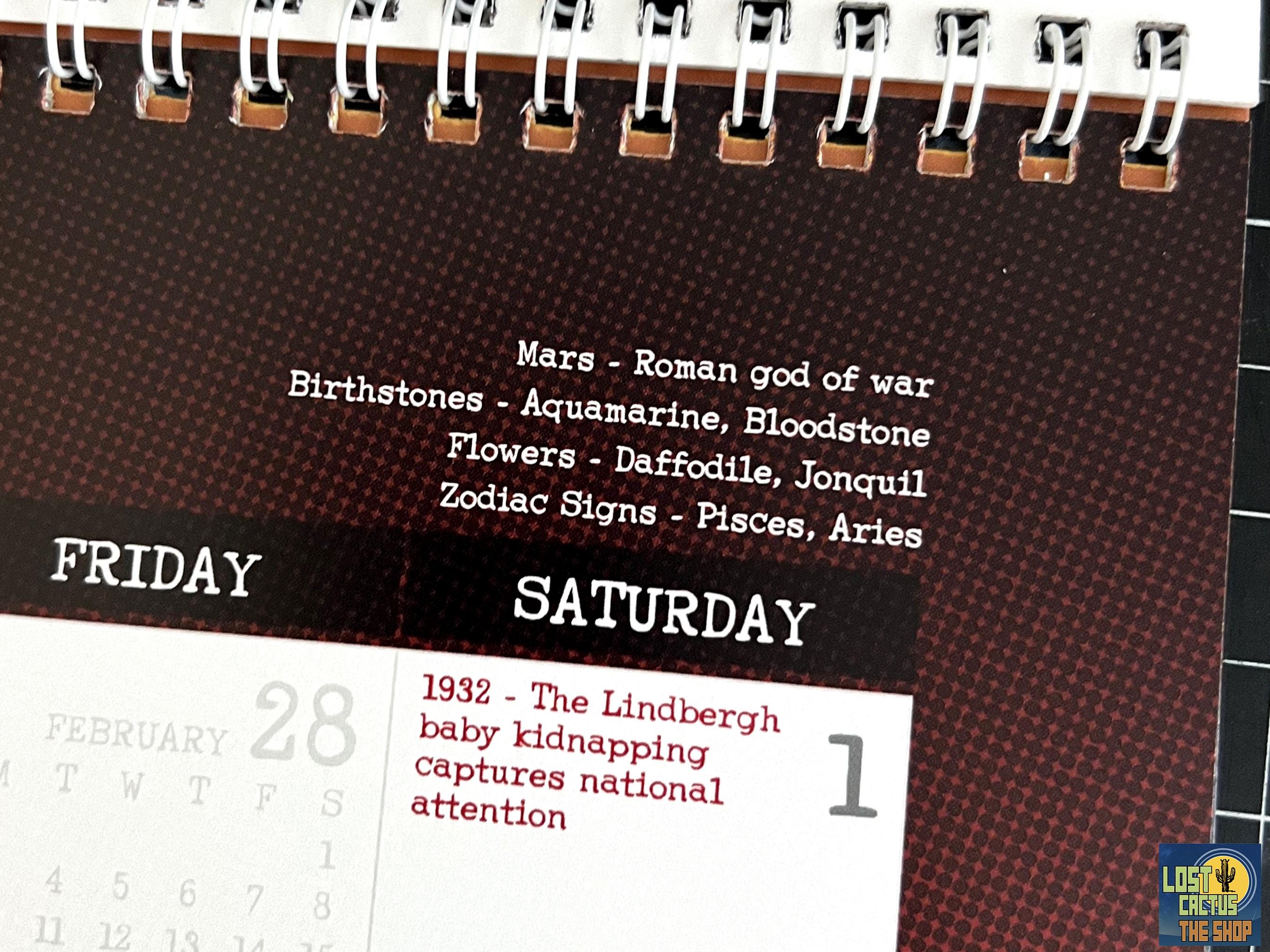 2025 LOST CACTUS Comic Strip Wall Calendar, Vibrant, Funny, Holidays ...