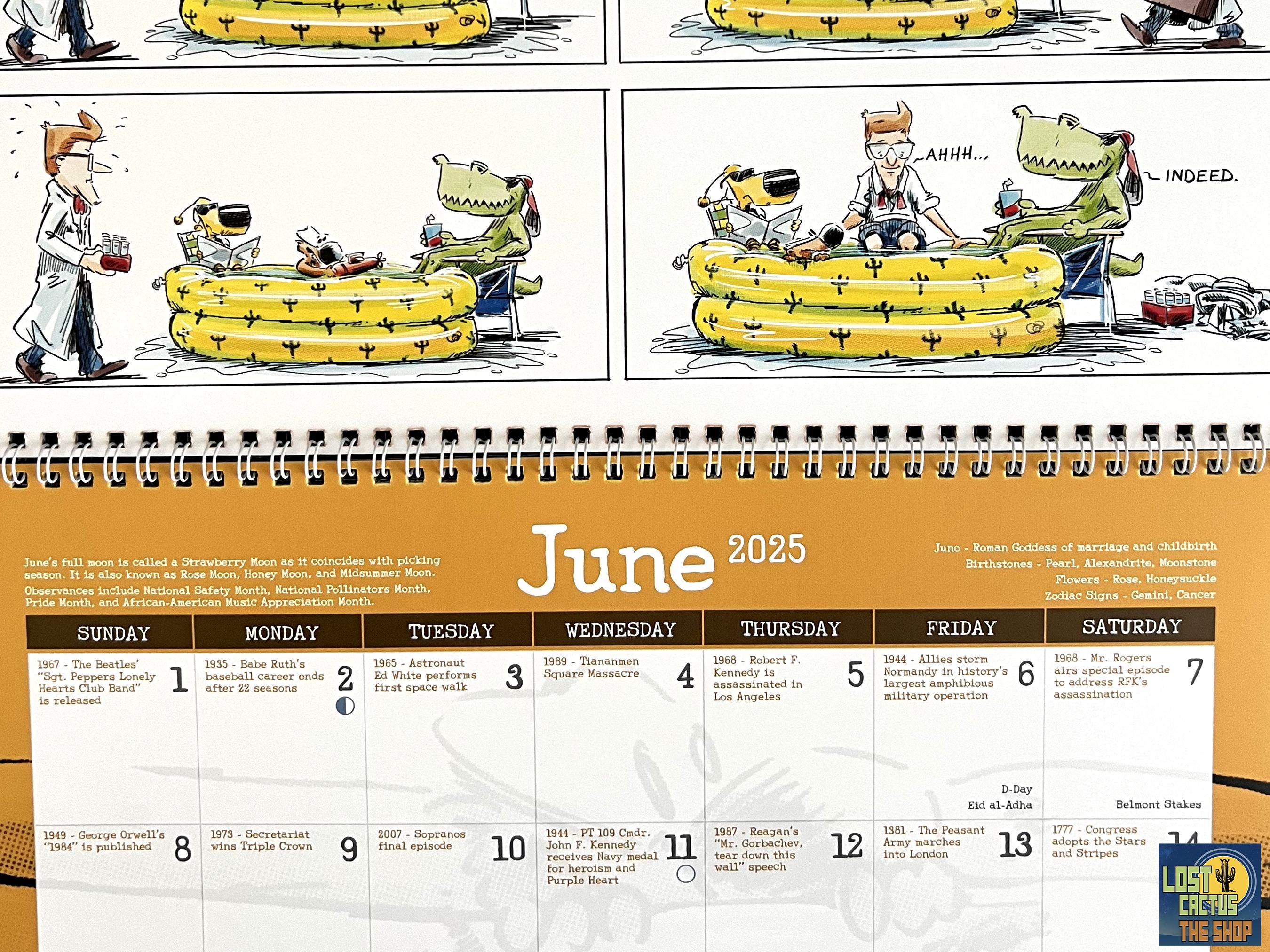2025 LOST CACTUS Comic Strip Wall Calendar, Vibrant, Funny, Holidays ...