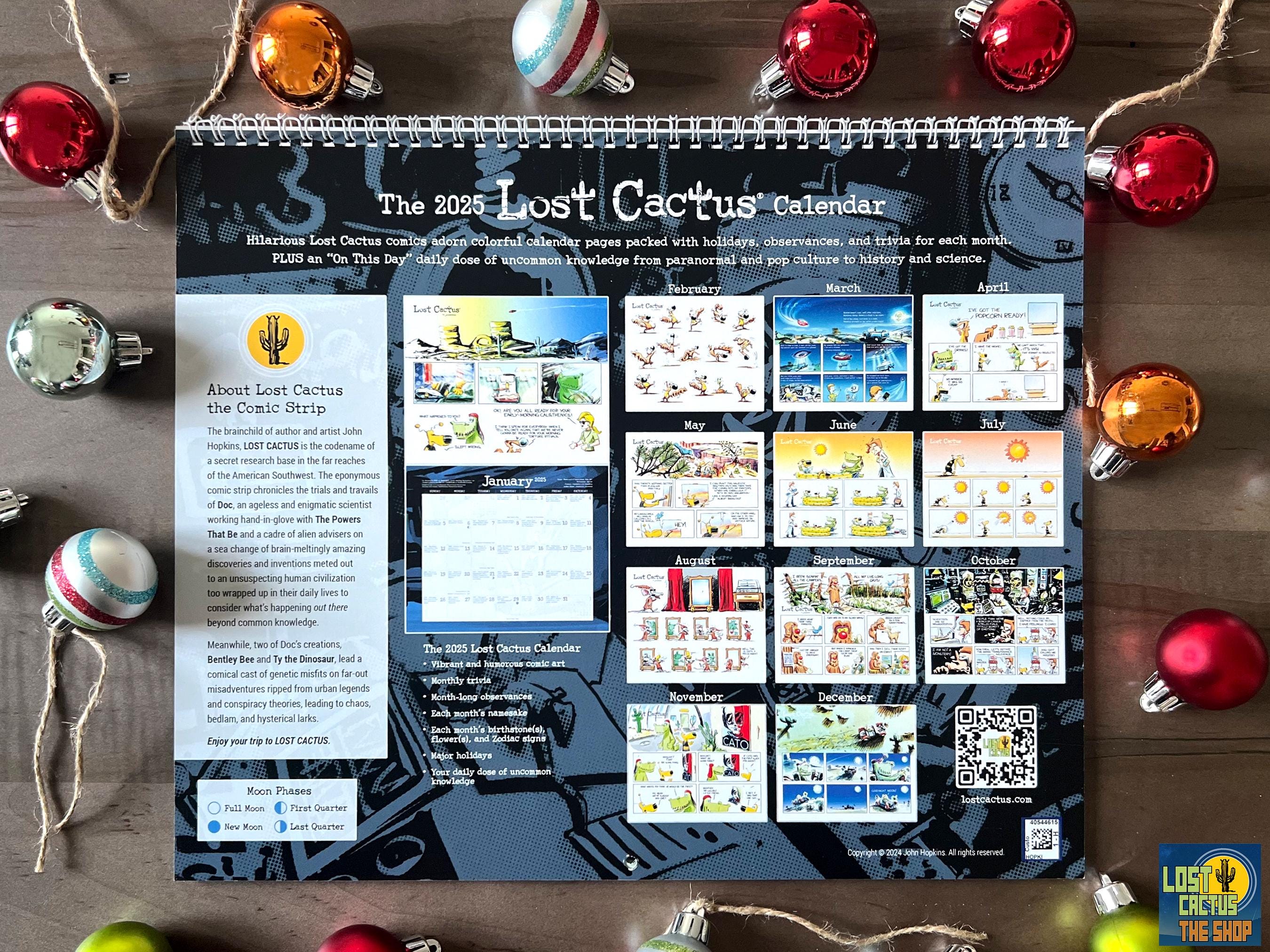 2025 LOST CACTUS Comic Strip Wall Calendar, Vibrant, Funny, Holidays ...