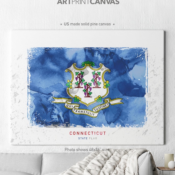 Connecticut State Flag - Etsy