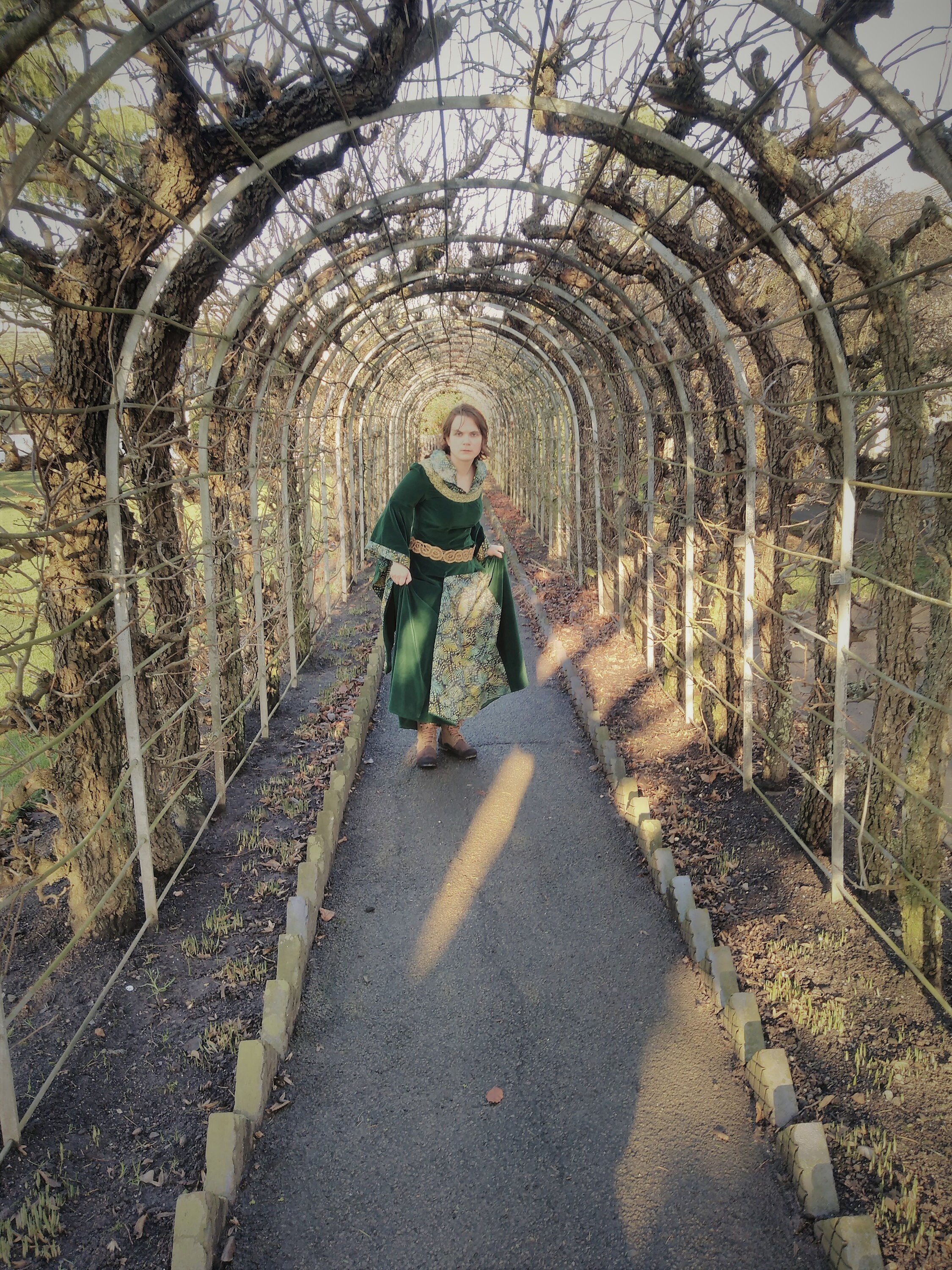 Eowyn-inspired Green Velvet Gown. Medieval Robe. Renaissance | Etsy