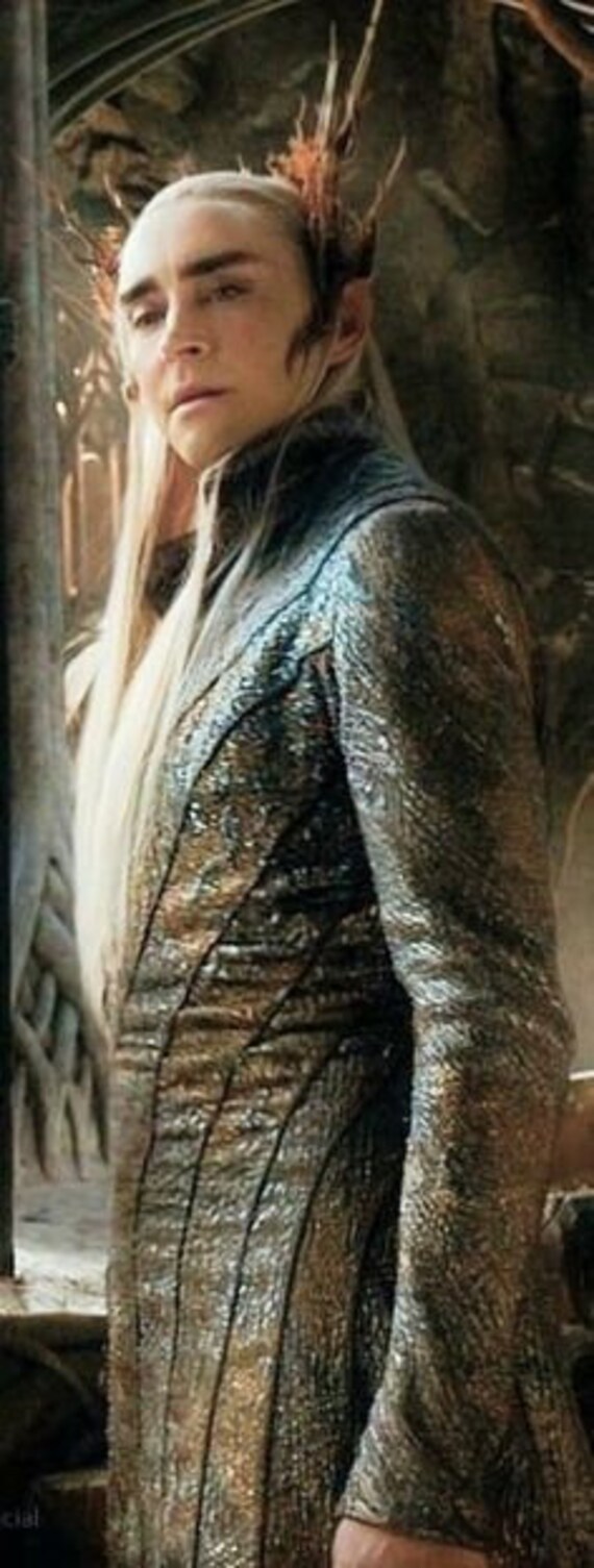 Thranduil Party King Cosplay