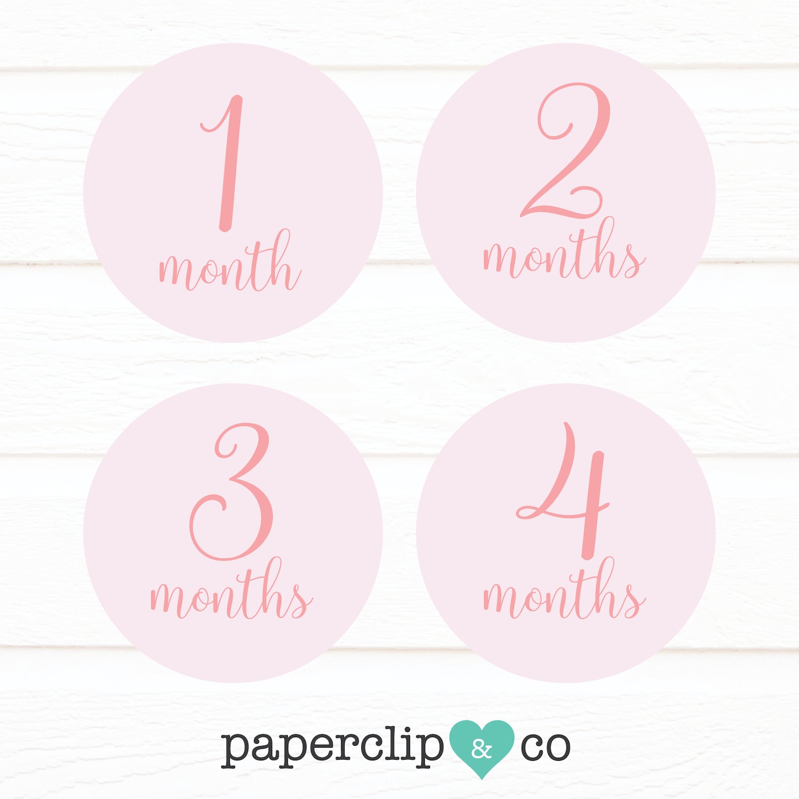 Pink Monthly Milestone Stickers, Monthly Milestone Sticker, First Year ...