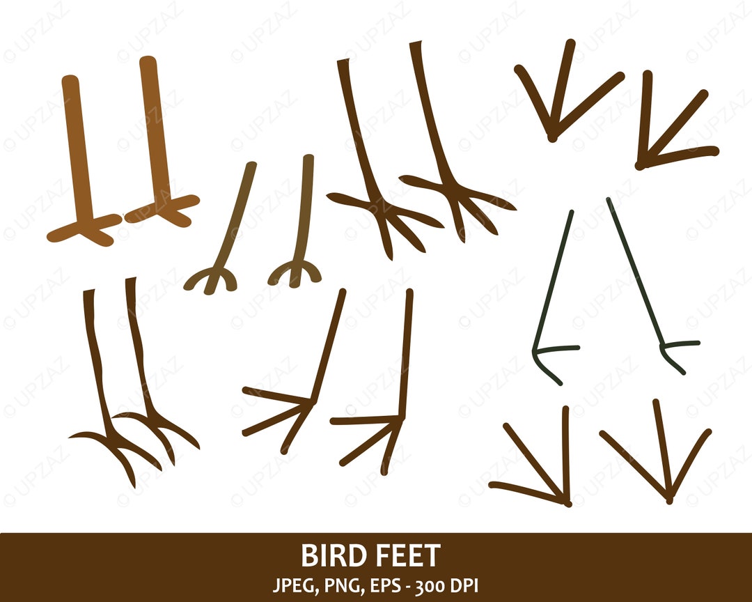 Bird Feet Clipart, Vector Graphics, SVG, Digital Images UZ712 - Etsy