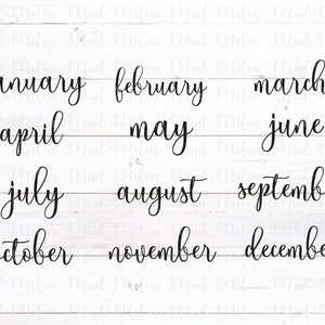 Months Script Stickers, Monthly Planner Stickers, Monthly Planner Icons ...