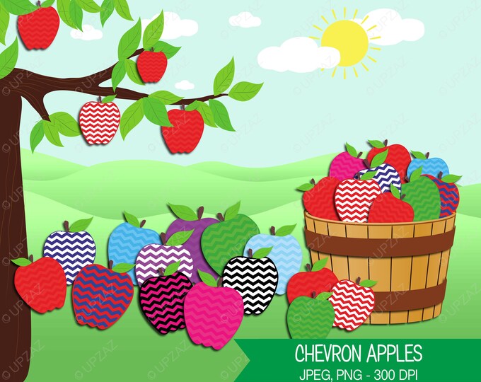 Chevron Apples Clipart, Apple Barrel, Digital Images - UZ609 - Etsy