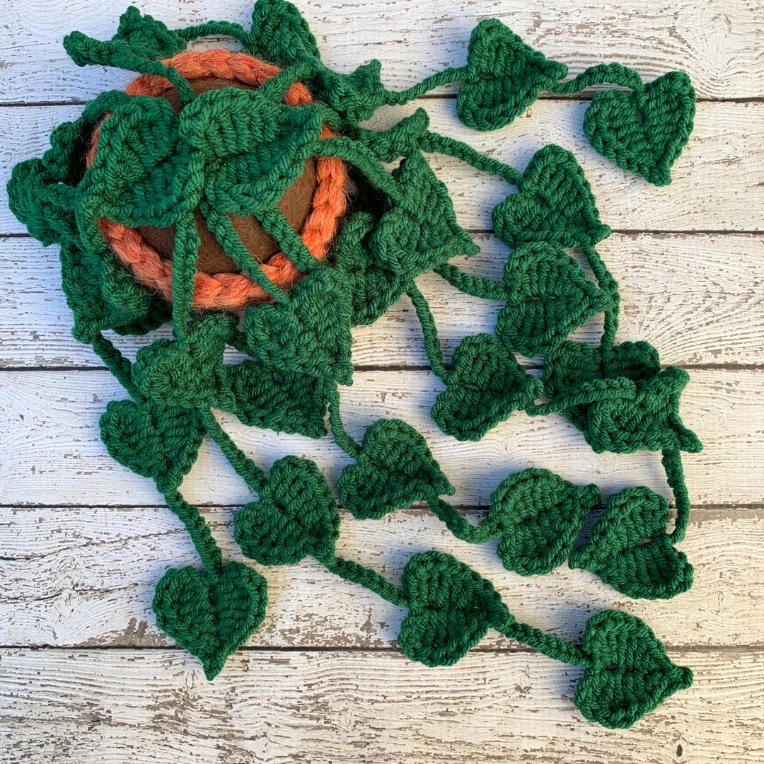 String of Hearts, Crochet Plant, Small Trailing Heart Plant Gift - Etsy