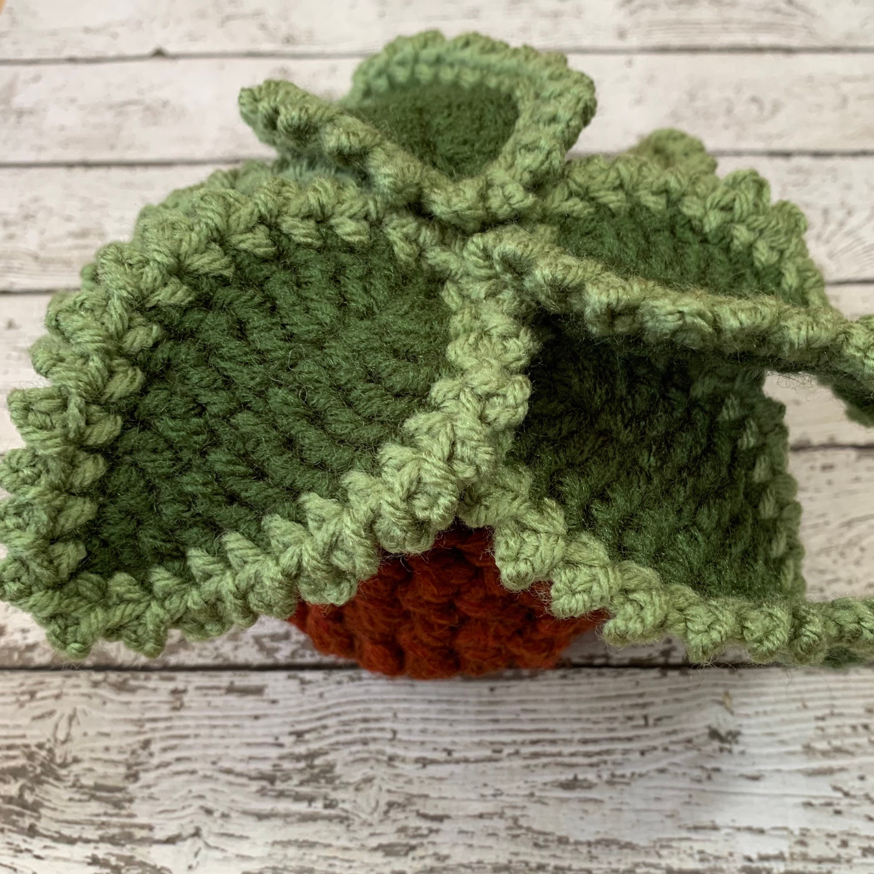 Crochet House Plant With Multi Colored Leaves - Etsy