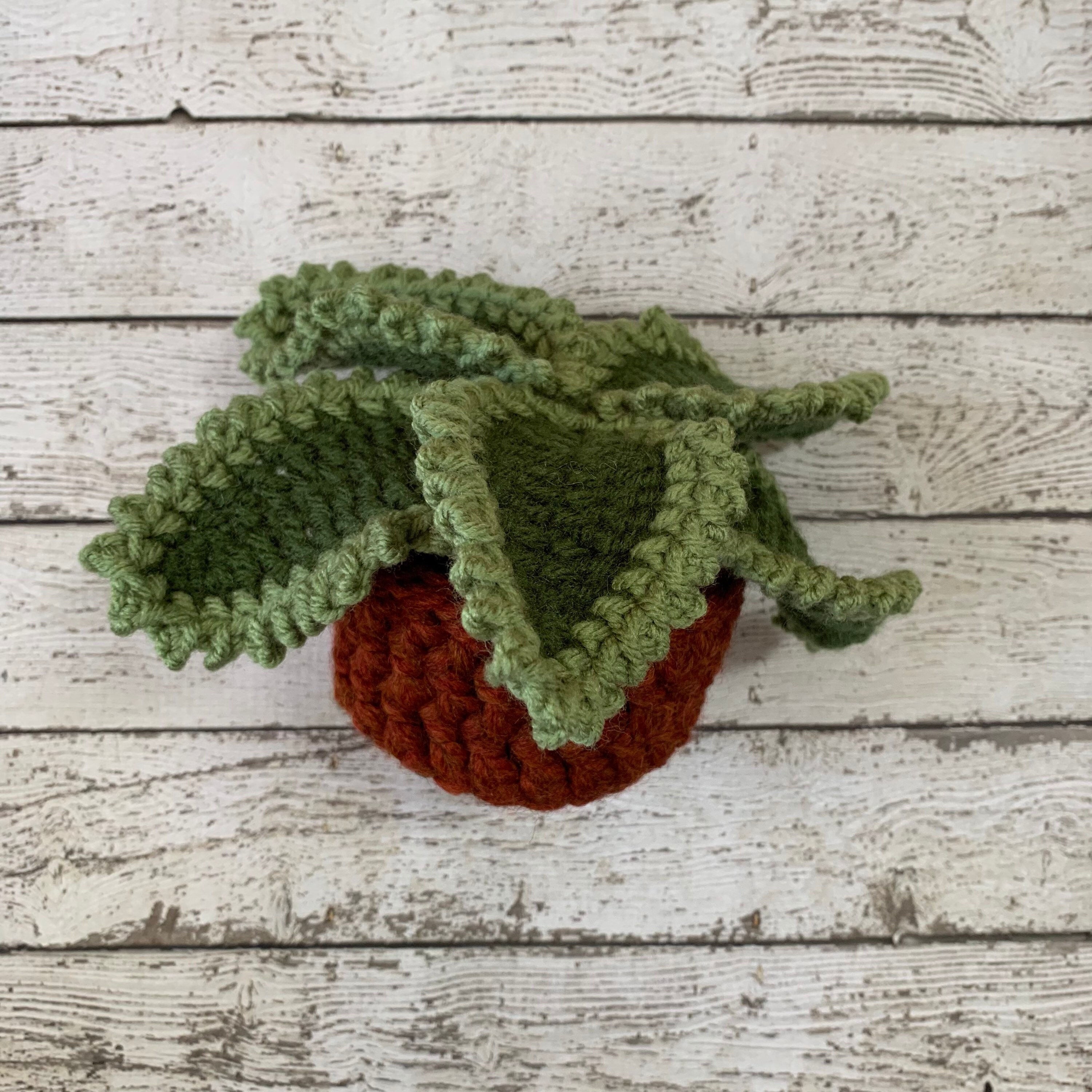 Crochet House Plant With Multi Colored Leaves - Etsy