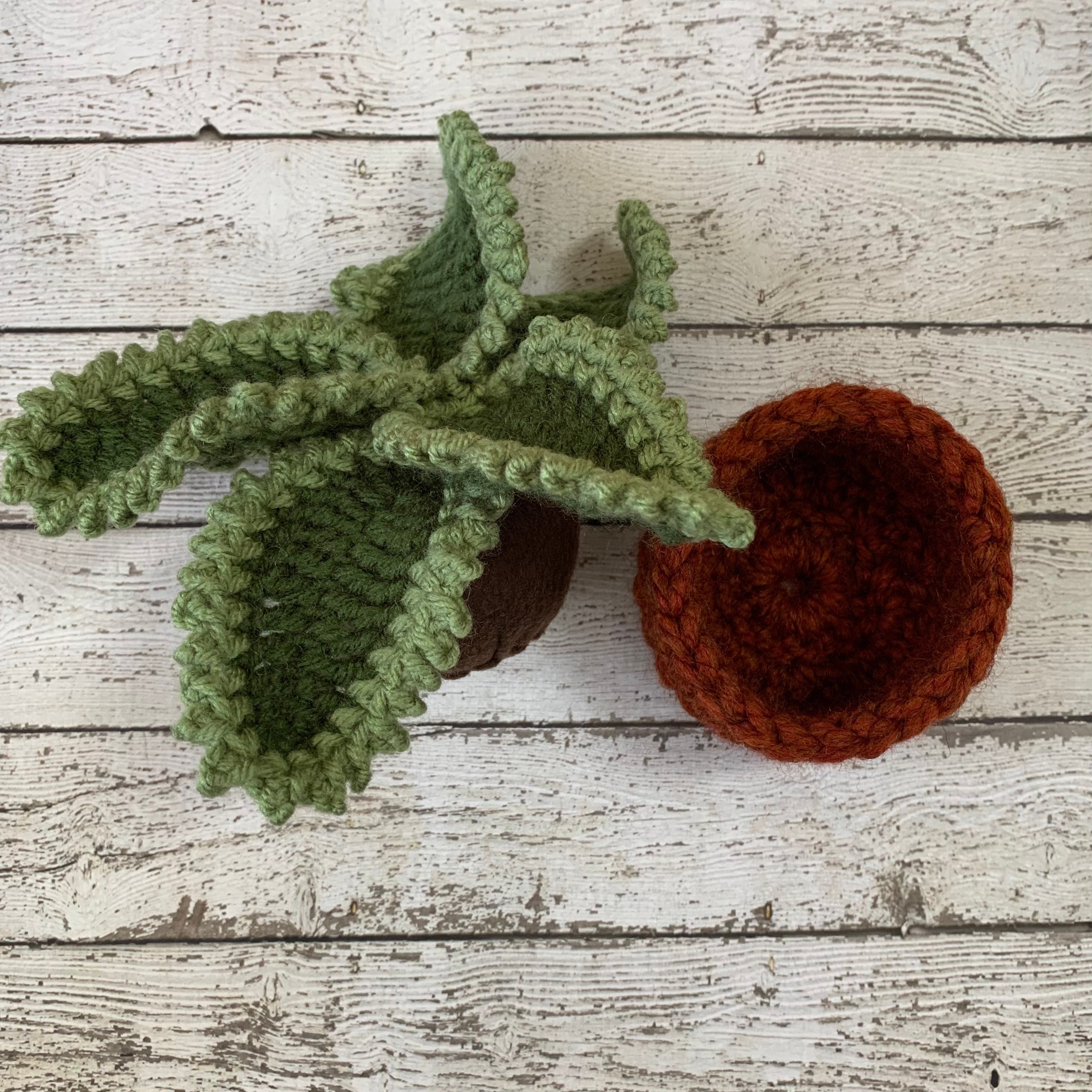 Crochet House Plant With Multi Colored Leaves - Etsy