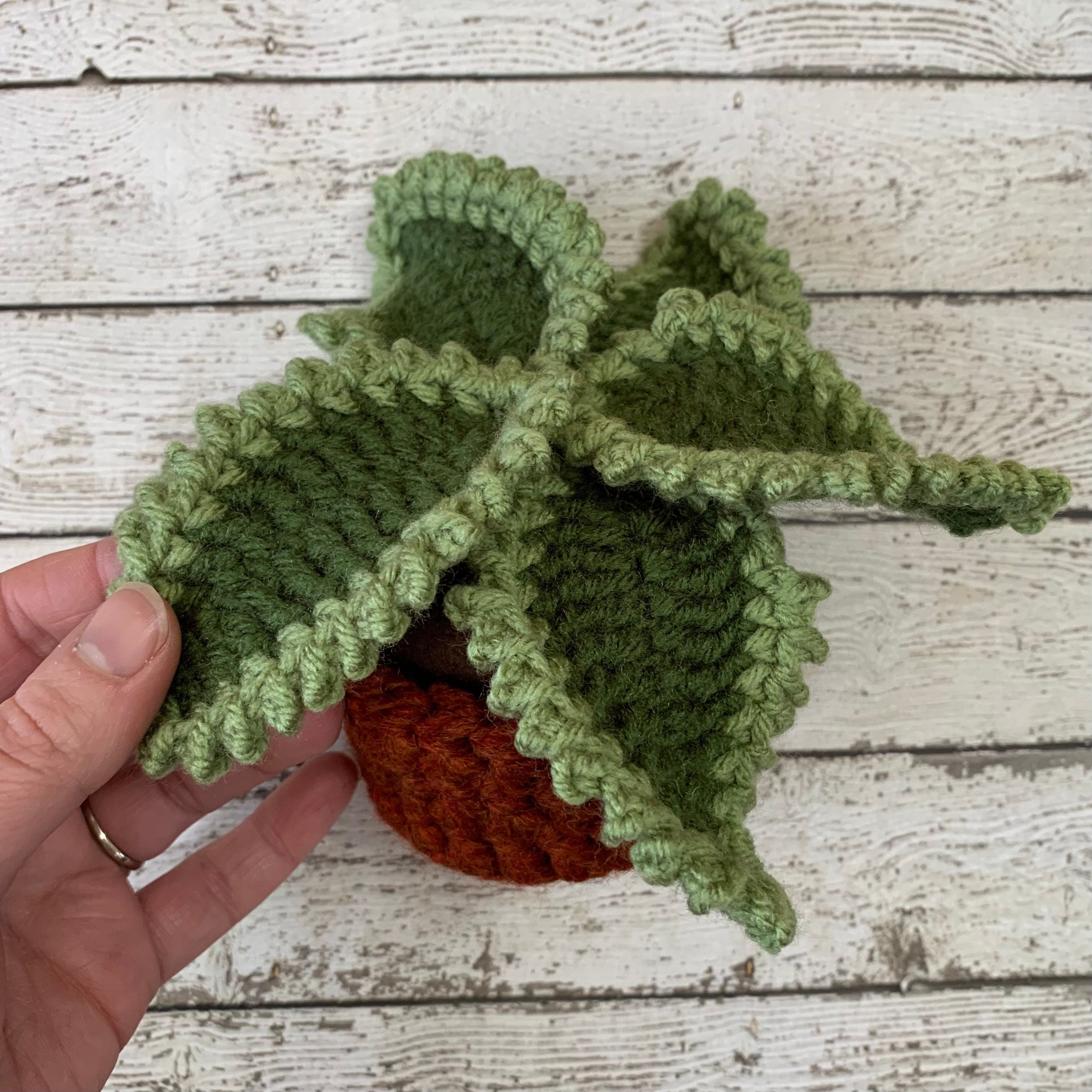 Crochet House Plant With Multi Colored Leaves - Etsy