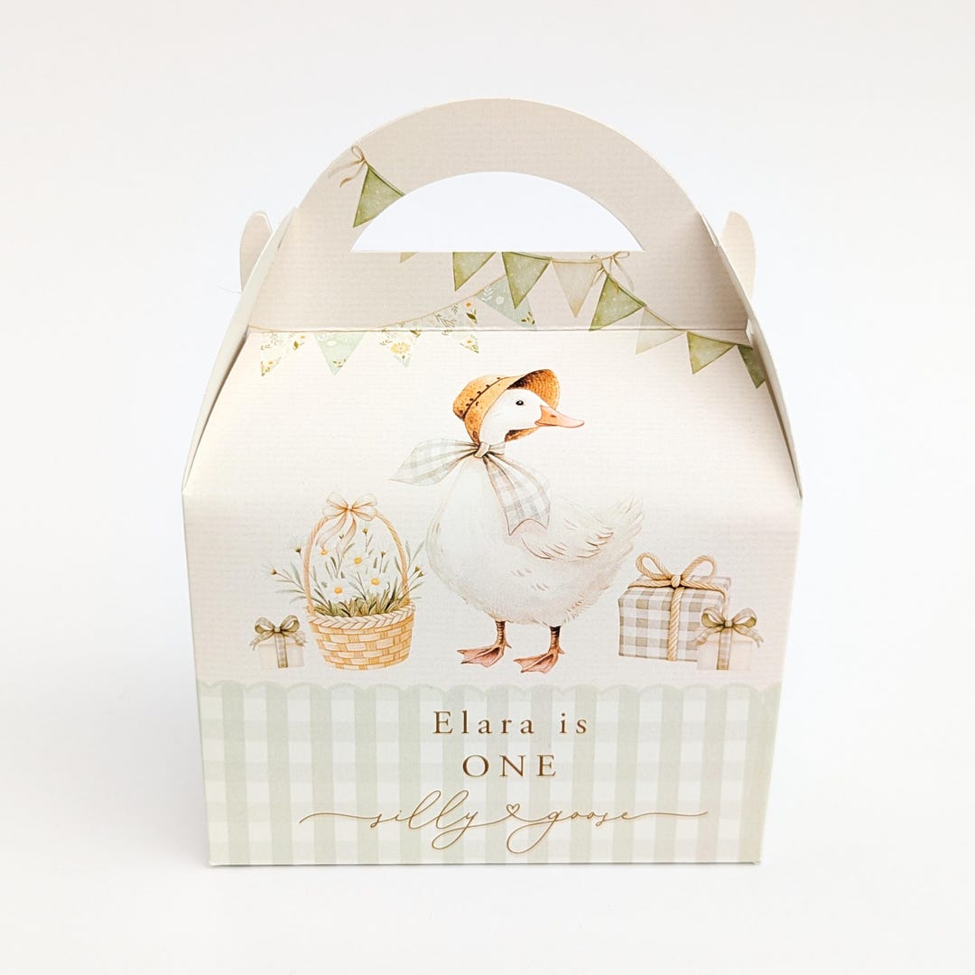 SILLY GOOSE Personalised Children's Birthday Party Boxes - Etsy