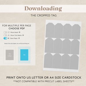 Pastel Rainbow Favor Tags, Pastel 1st Birthday Thank You Tags, Rainbow ...