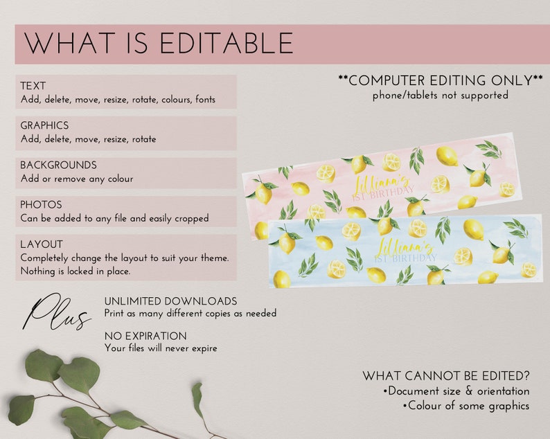 Lemon Water Bottle Labels, Pink Lemonade Water Labels, Printable Water ...