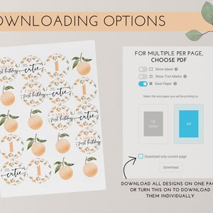 Orange Cupcake Toppers, Printable Cupcake Topper, Oranges Cupcake ...