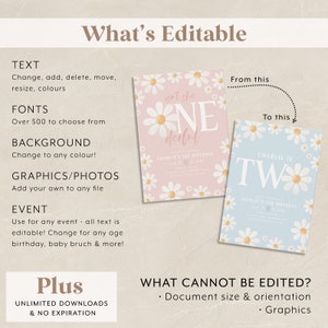 Daisy Birthday Invitation, Onederful Daisy 1st Birthday Invite, 1st ...