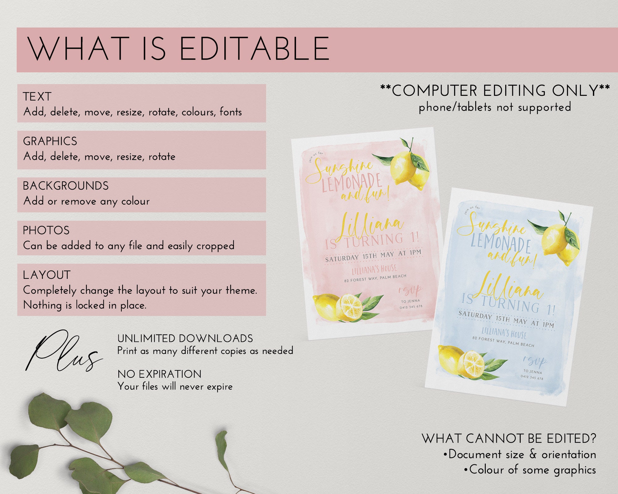 1st Birthday Milestone Sign, Lemon Birthday Milestone Board, Lemon 1st ...