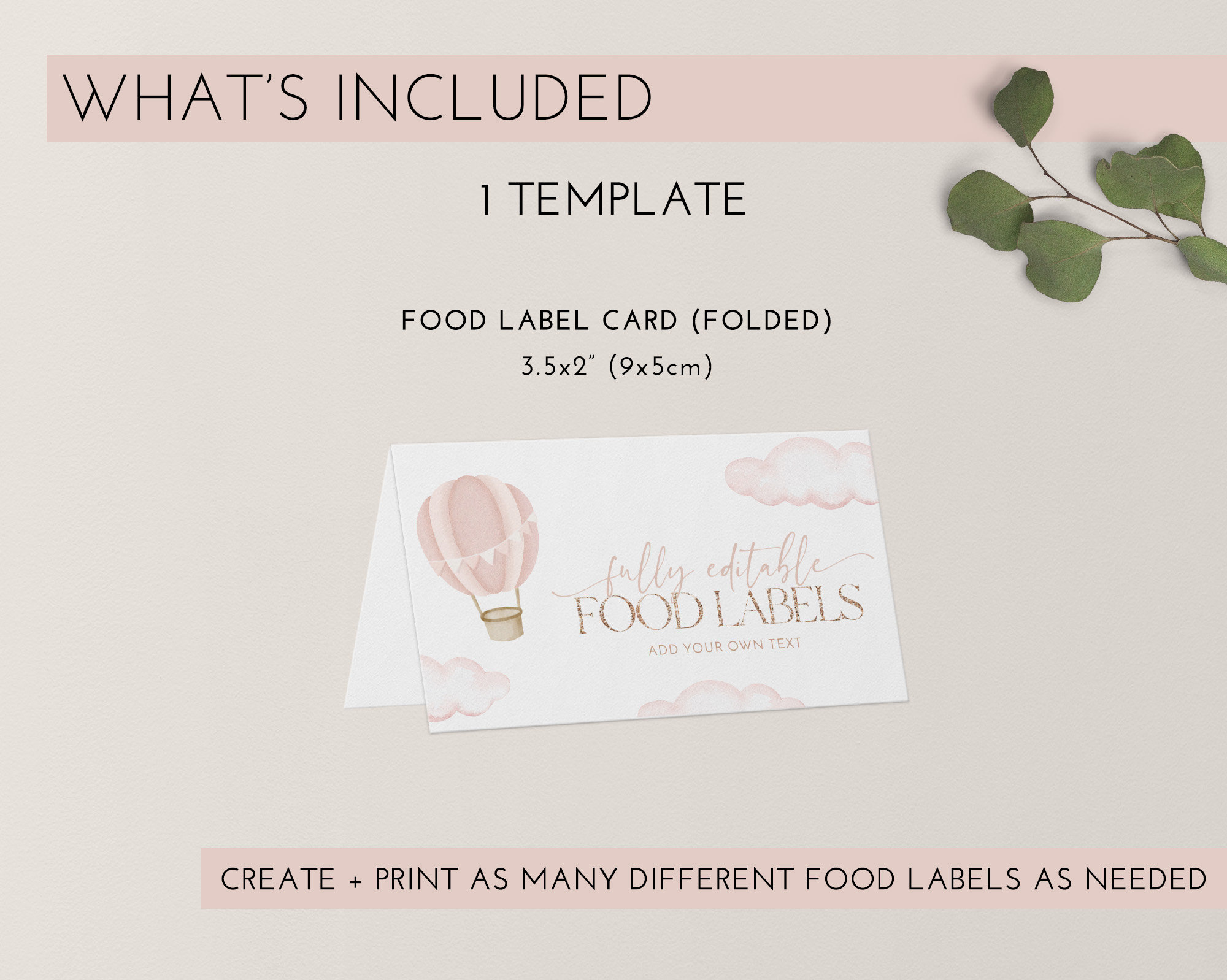 Hot Air Balloon Food Labels Onederful Food Label Card Food | Etsy Canada