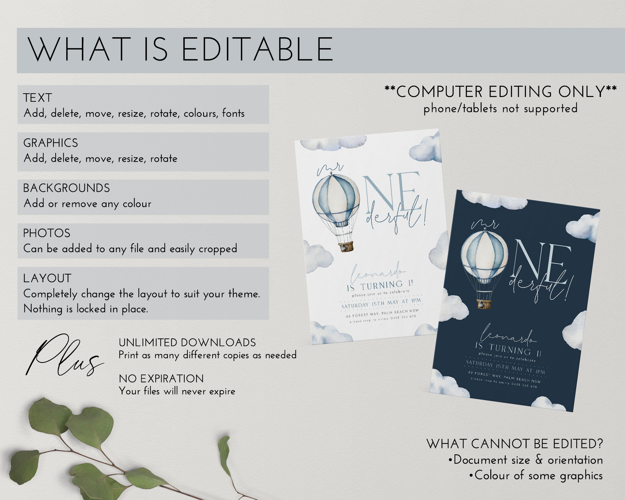 Hot Air Balloon Editable Sign Custom 8x10 Sign Mr Onederful | Etsy