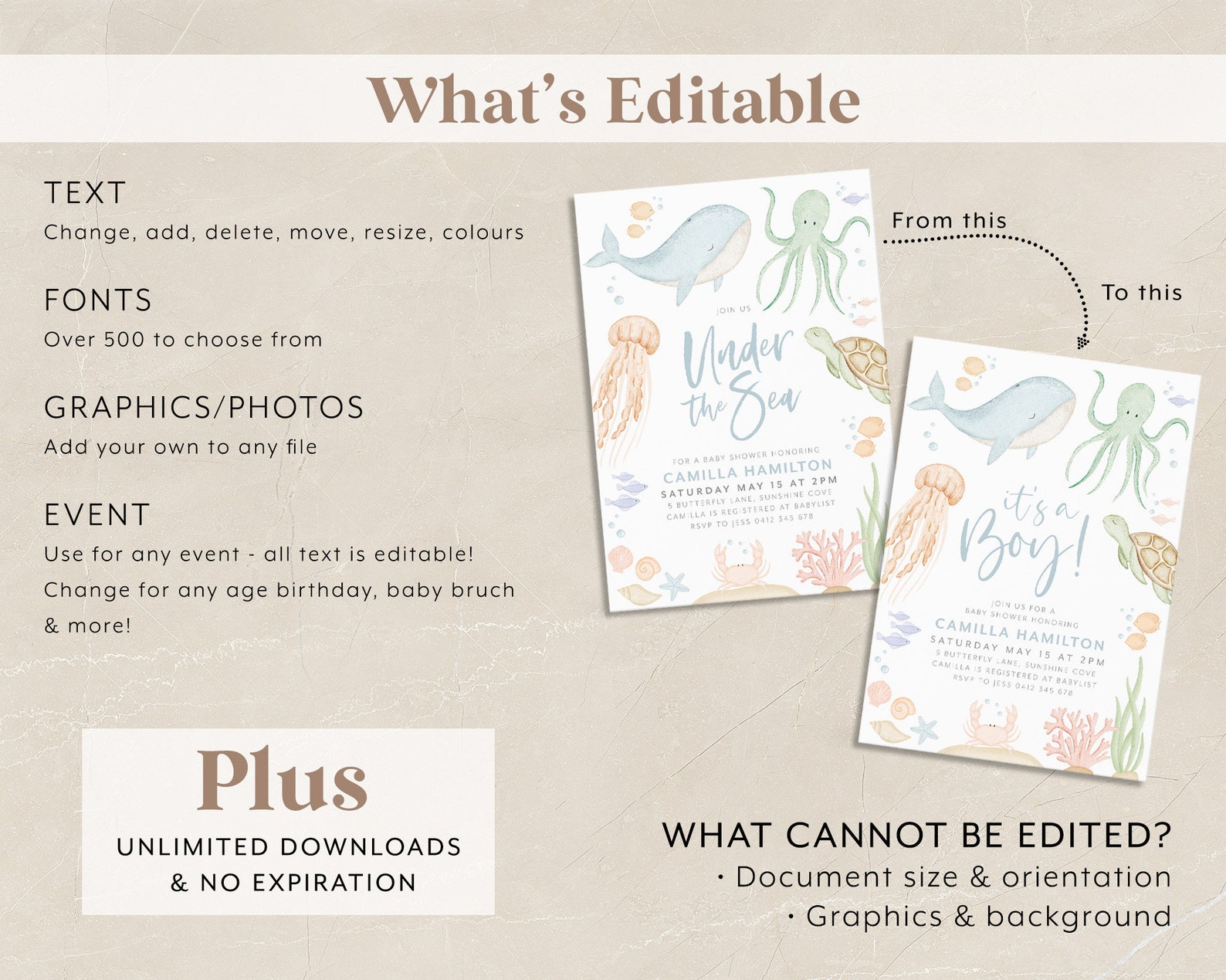 Under the Sea Baby Shower Games, Ocean Animals Baby Games, Baby Shower ...