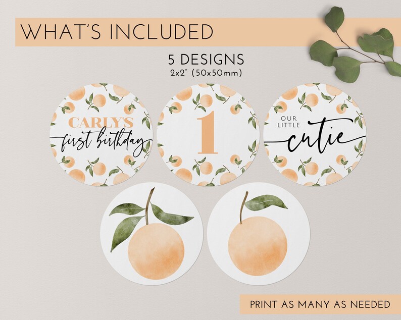 Orange Cupcake Toppers Printable Cupcake Topper Oranges - Etsy