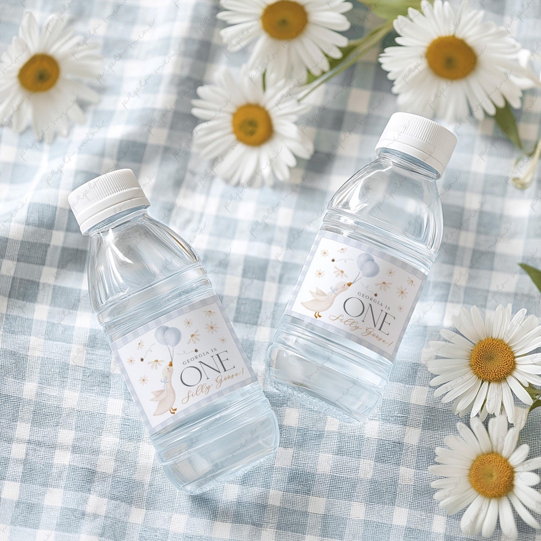 Silly Goose 1st Birthday Water Bottle Labels: Blue Goose Stickers ...